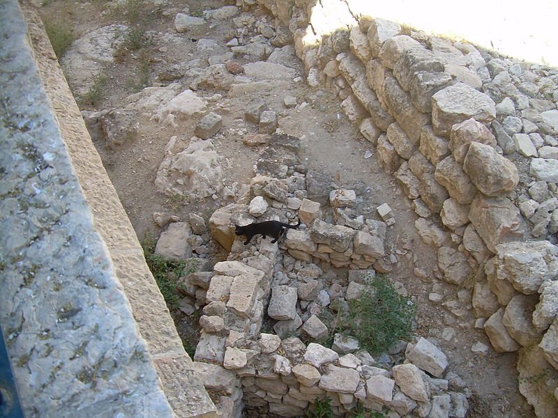 The Flattened Houses Beneath the Wall - Israel Institute of Biblical ...