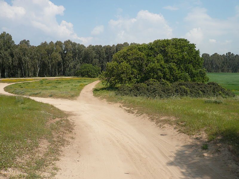 On the road to Emmaus - Israel Institute of Biblical Studies